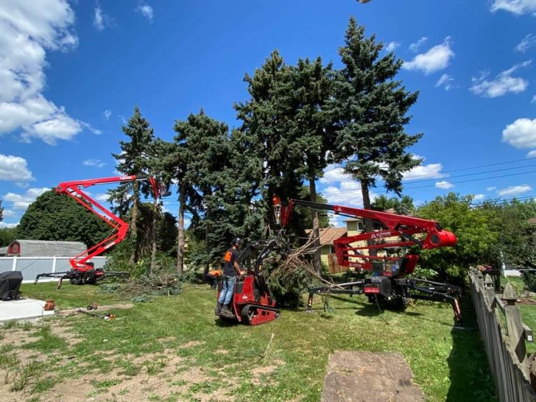 Tree Removal Service - WoodChuck Tree Service | Grand Island, NY