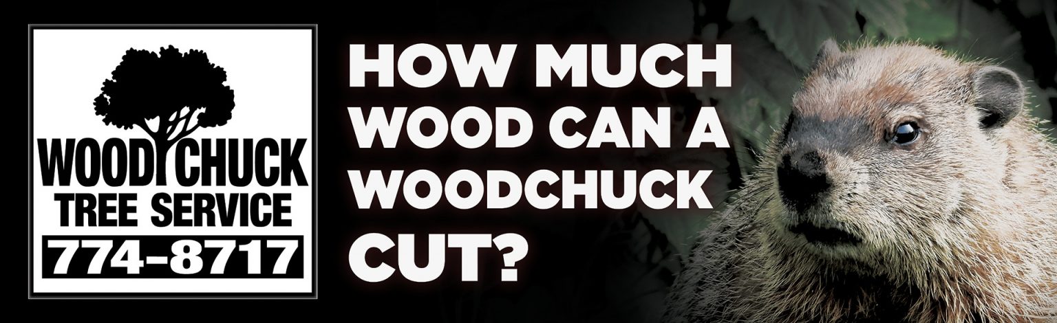 WoodChuck Tree Services - WoodChuck Tree Service