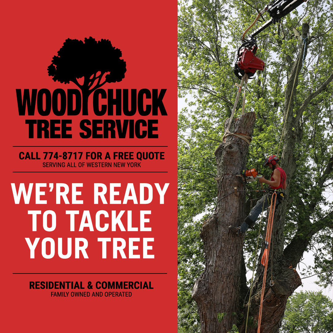Ready To Tackle Your Tree - WoodChuck Tree Service | WNY Tree Service
