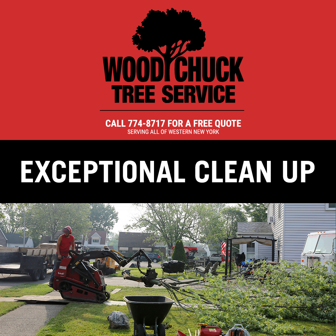 Exceptional Clean Up - WoodChuck Tree Service | WNY Tree Removal