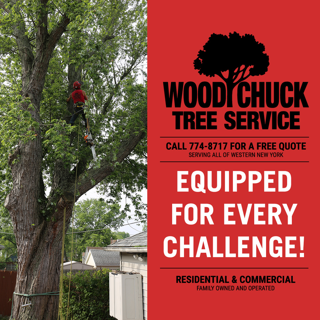 Equipped For Every Challenge - WoodChuck Tree Service | Tree Removal