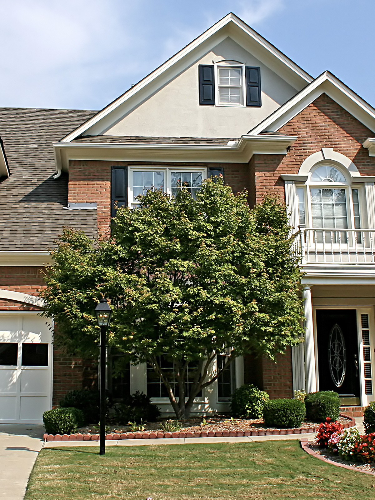 Tree Blocking Your Window? - WoodChuck Tree Service