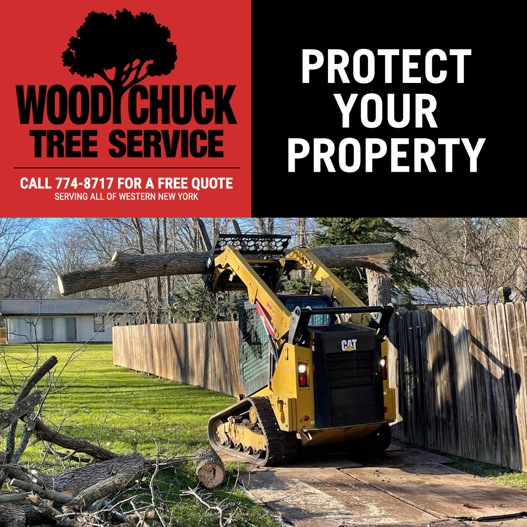 Protect Your Property - WoodChuck Tree Service