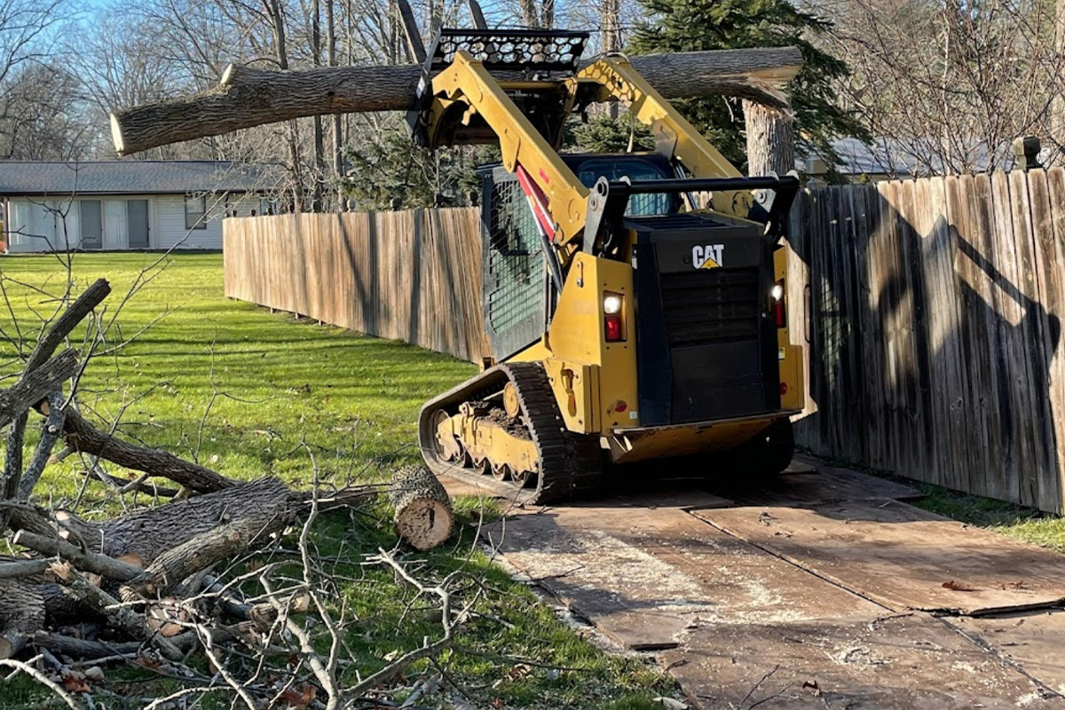 Protect Your Property - WoodChuck Tree Service