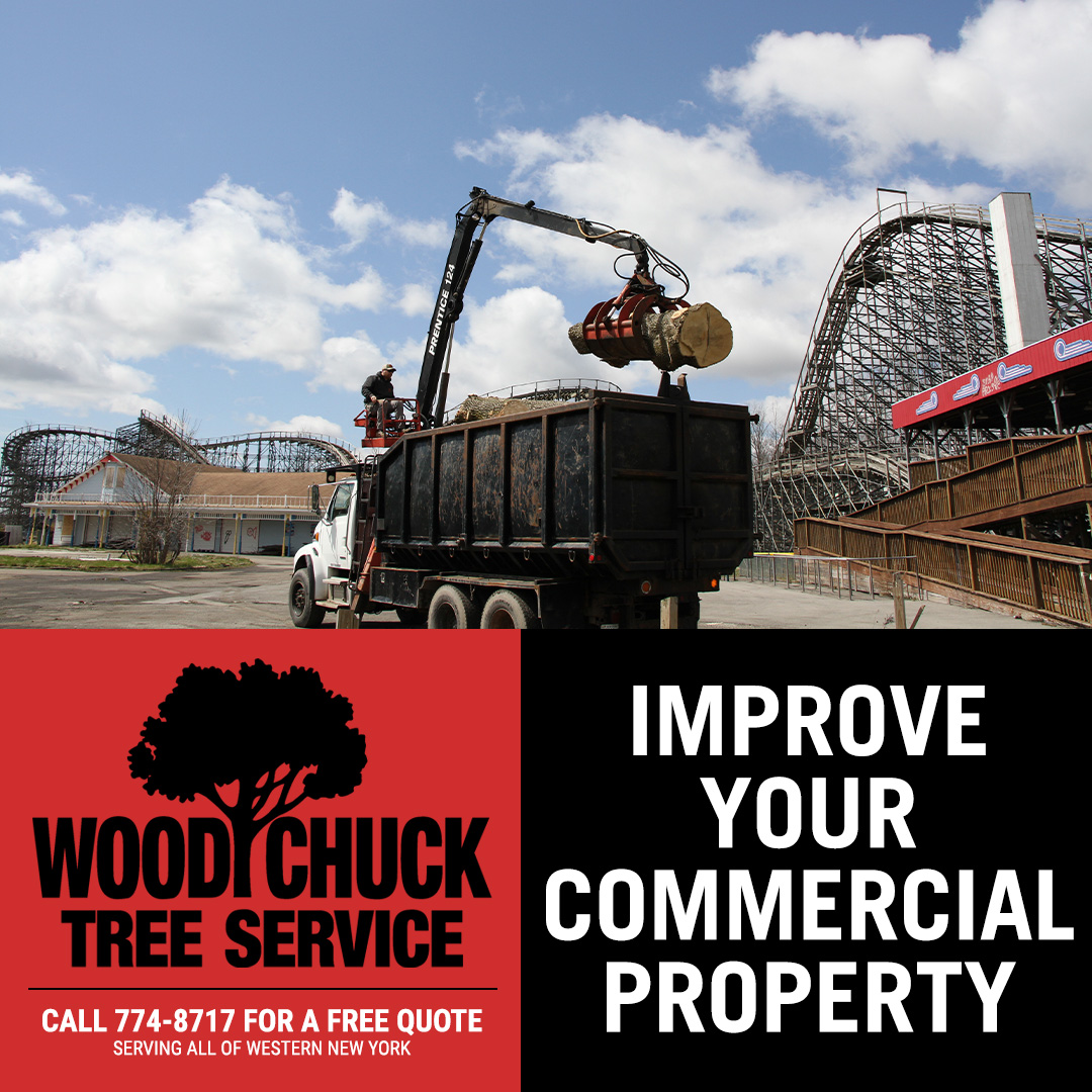 Improve Your Commercial Property - WoodChuck Tree Service