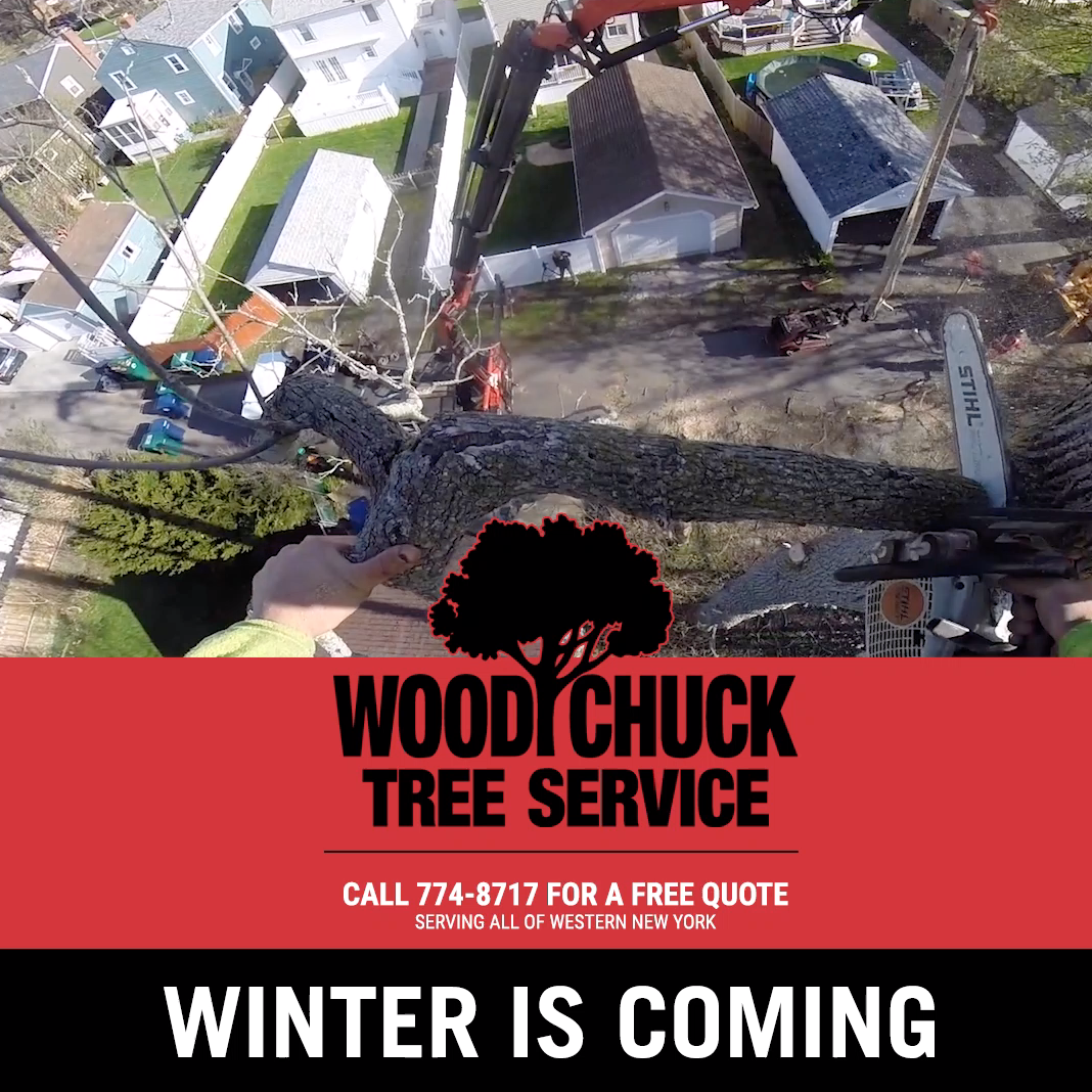 Winter Is Coming... - WoodChuck Tree Service