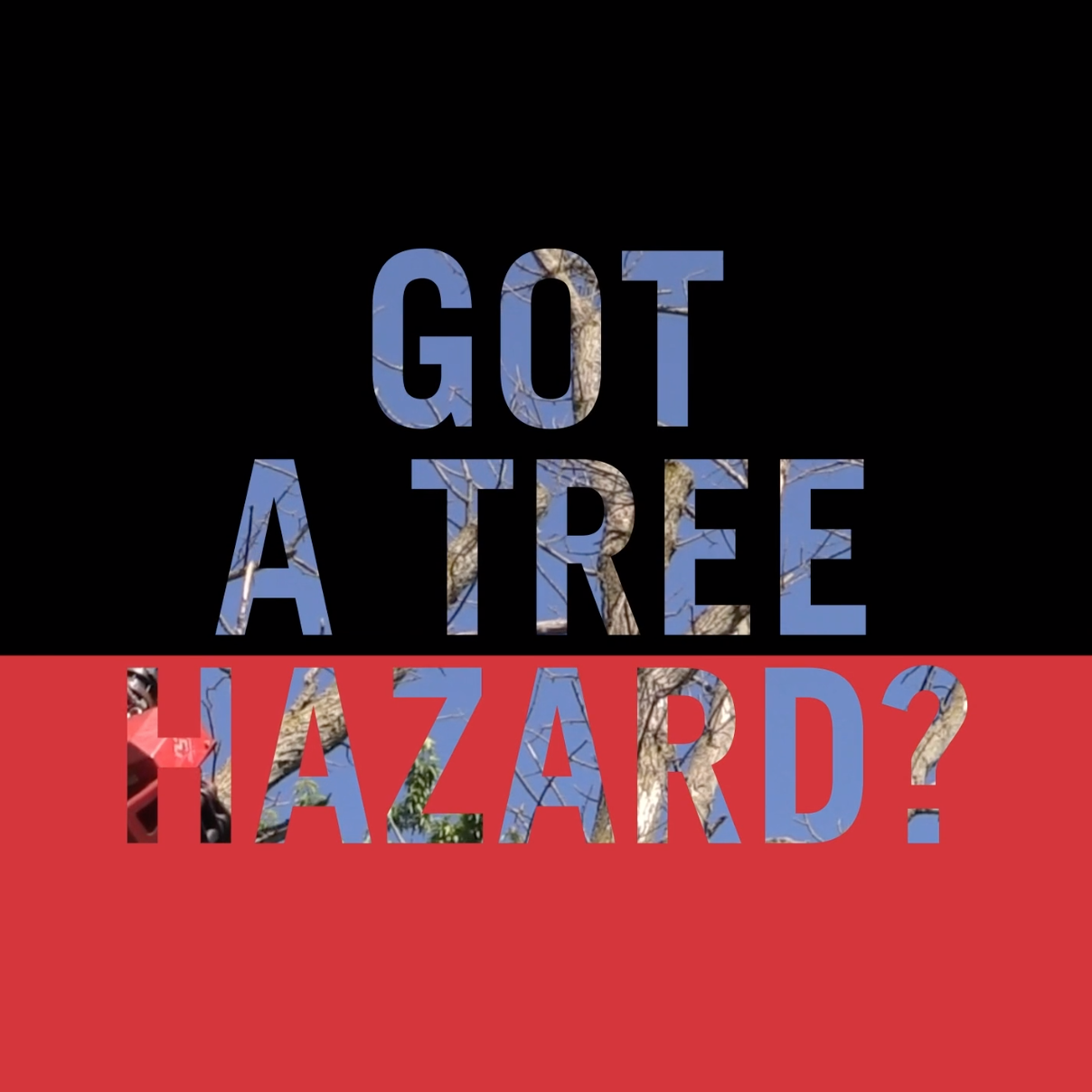 Tree Hazard? Schedule Tree Removal Service!