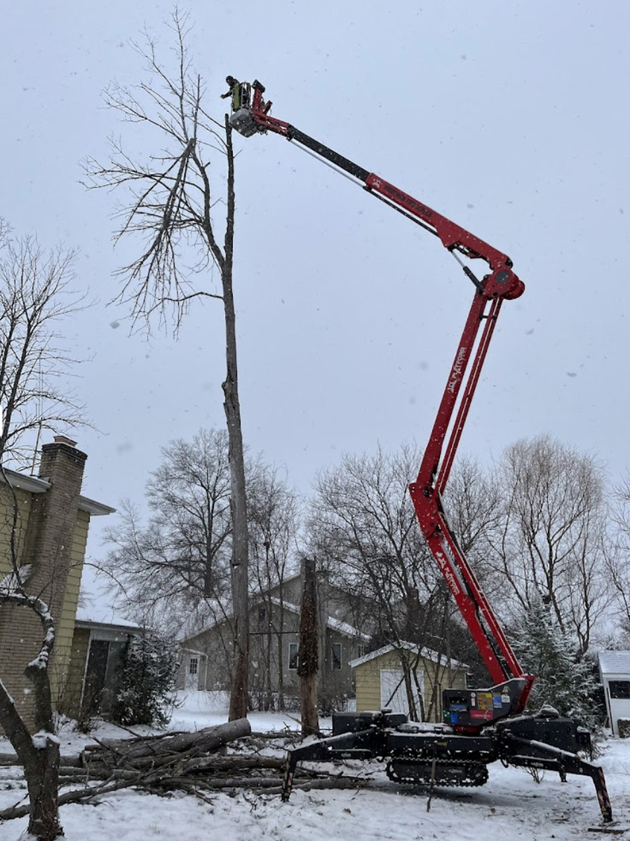 Emergency Tree Removal Review - WoodChuck Tree Service