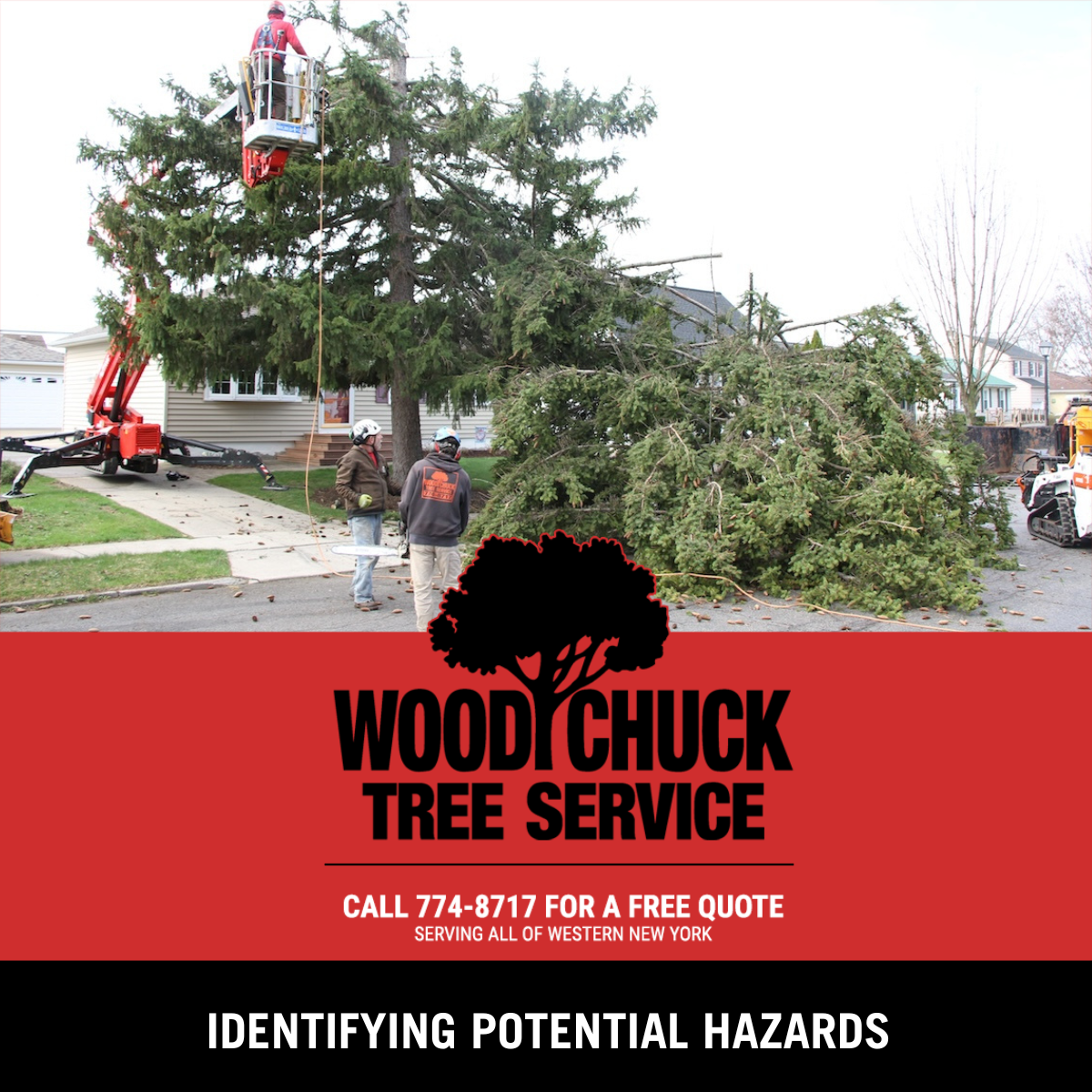 Identifying Potential Hazards - WoodChuck Tree Service