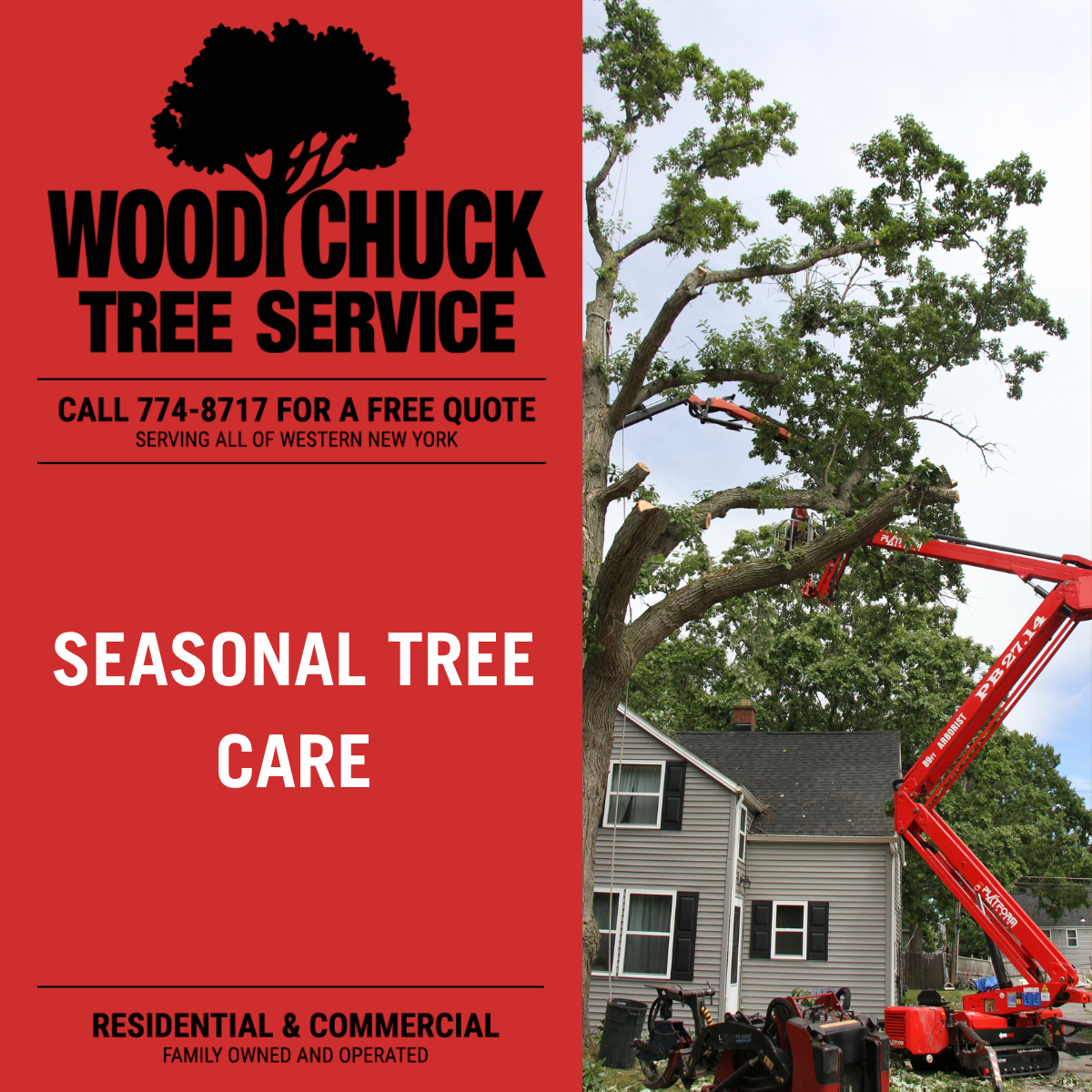 Seasonal Tree Care - WoodChuck Tree Service