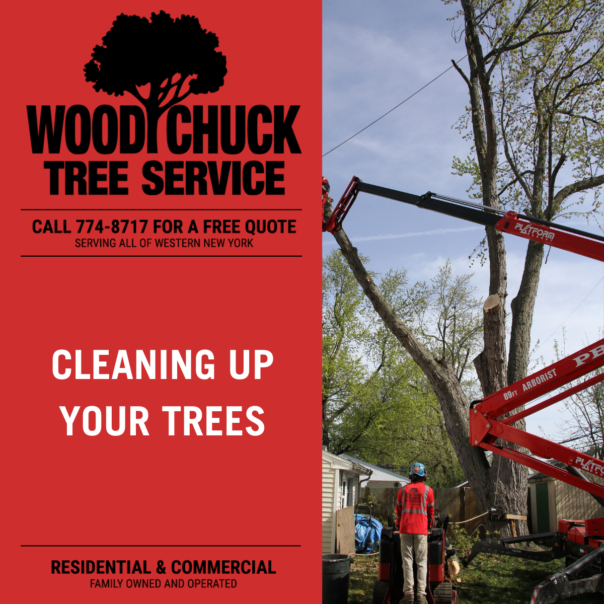 How To Clean Up Your Trees - WoodChuck Tree Service