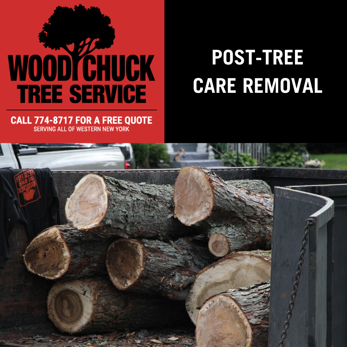 Post-Tree Removal Care - WoodChuck Tree Service