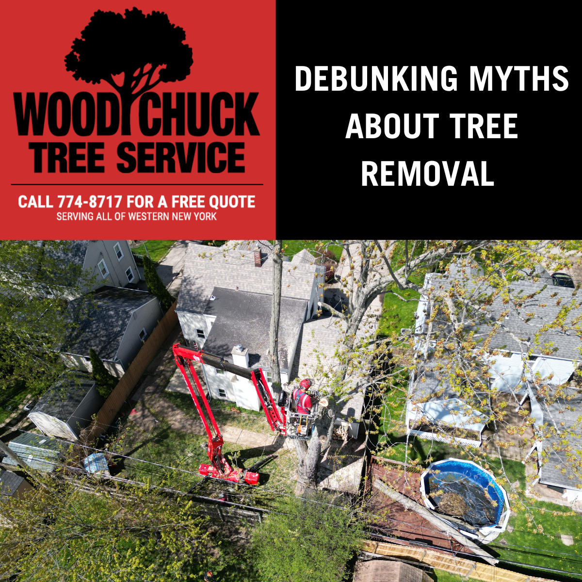 Debunking Myths About Tree Removal - WoodChuck Tree Service