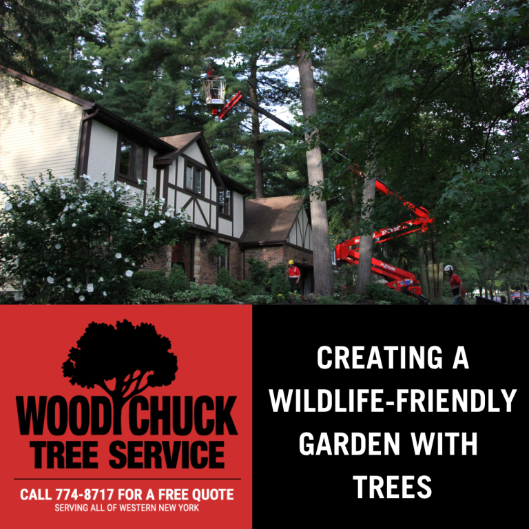 Creating a Wildlife-Friendly Garden with Trees - WoodChuck Tree Service