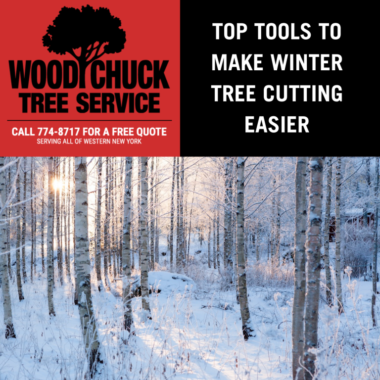 Top Tools to Make Winter Tree Cutting Easier - WoodChuck Tree Service