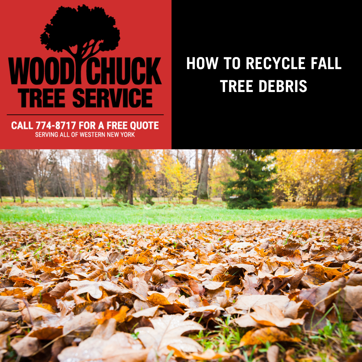 How to Recycle Fall Tree Debris - WoodChuck Tree Service